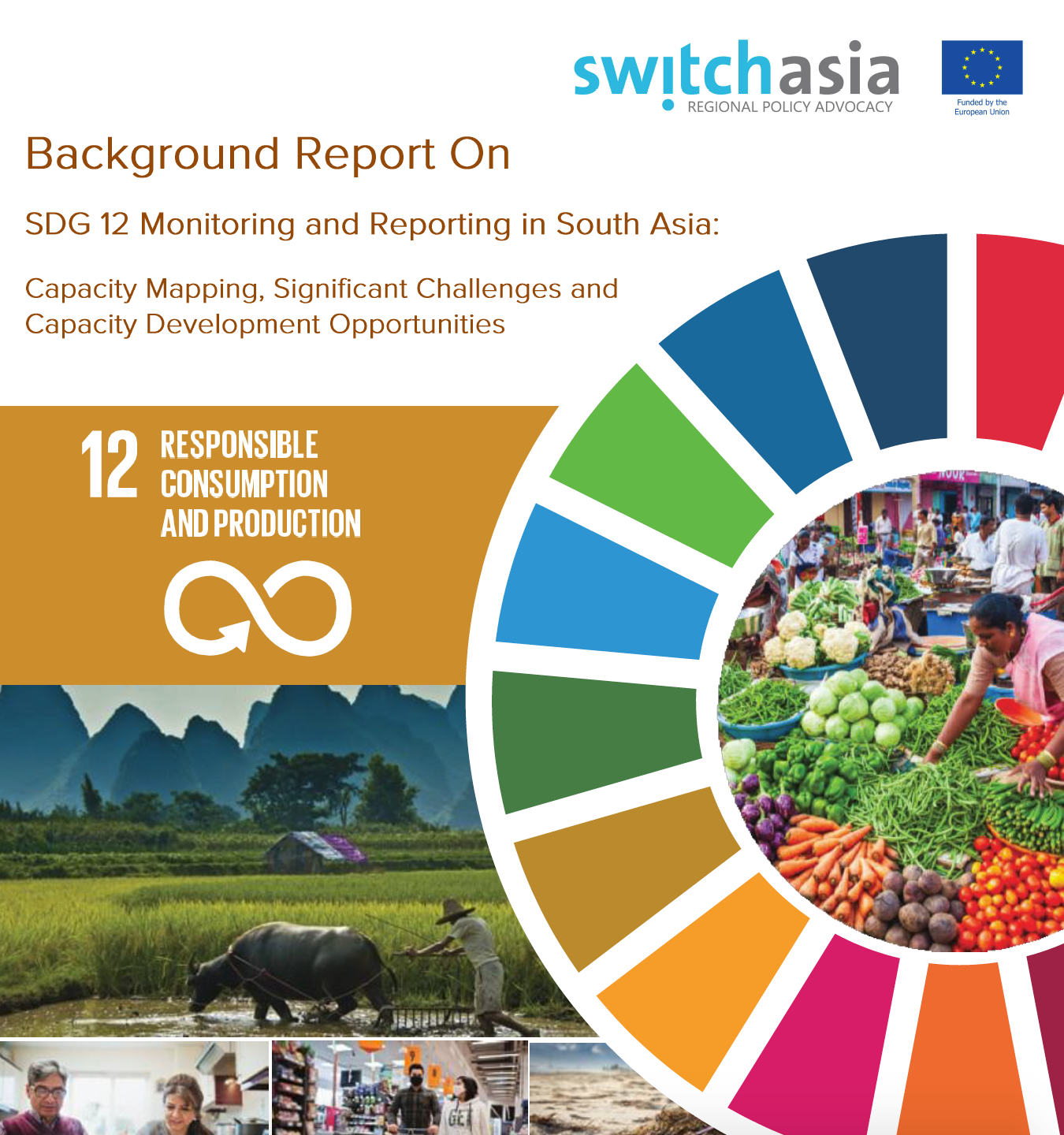 SDG 12 Monitoring and Reporting in South Asia › | SWITCH-Asia